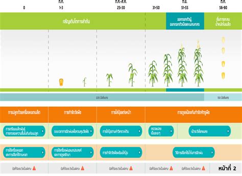 ปฏิทินการเพาะปลูก Crop แอ๋วคูโบต้าเจียงโพนพิสัย Facebook