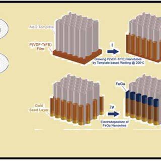 A Schematic Drawing Of Fe Core Shell NWs Shows That Oxide Shell Made Download Scientific