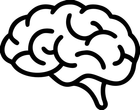 Glossy White Brain Outline 53679241 Vector Art At Vecteezy