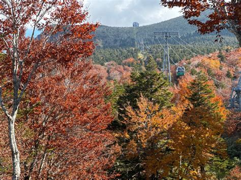 東北の紅葉情報2024 ウェザーニュース
