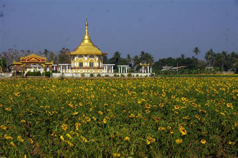 ပြည်ထောင်စုနယ်မြေ၊ နေပြည်တော်တွင် ဆီထွက်သီးနှံ ဧကတစ်သိန်းခွဲကျော် စိုက
