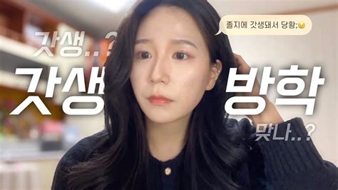 방학 Vlog 인턴 퇴사 토익 오픽 벼락치기 복학 준비 동유럽 여행 장범준 콘서트까지🤦🏻‍♀️ Ft