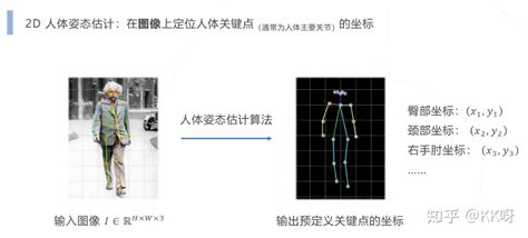 Openmmlab Day2 人体关键点检测与mmpose 知乎