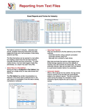 Fillable Online Excel Reports And Forms For Industry Fax Email Print PdfFiller