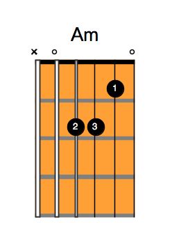 How To Read Chord Diagrams Diagram Quizlet