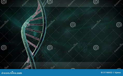 DNA String Stock Video Footage Video Of Biology Element