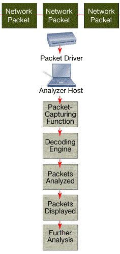 Tools Of The Wi Fi Trade Protocol Analyzers Overview