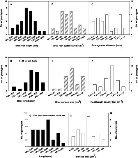 Distribution Of Major Root Traits Within The Subset Of 30 Spring Wheat