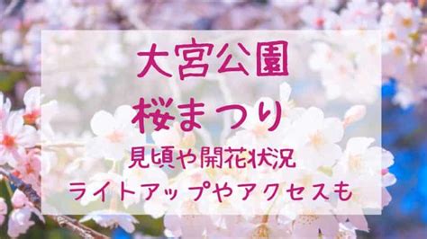 赤城南面千本桜2025年の桜まつりや見頃はいつ開花状況や駐車場も