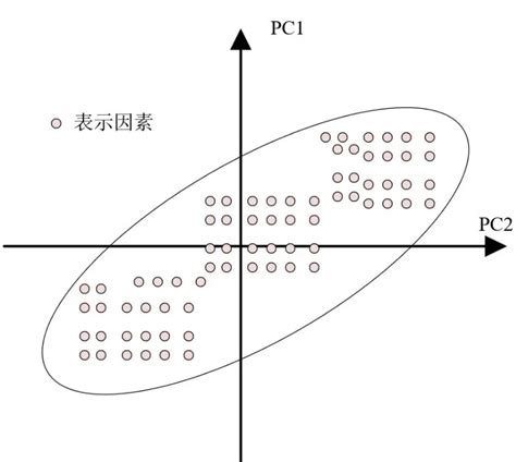 经管毕业论文常用主成分分析PCA 哔哩哔哩