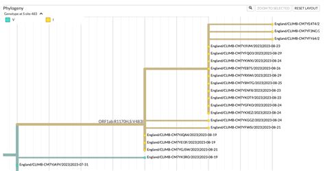 Eg514 With Orf3ap240l Orf1ar1170h And Sv483i 32 Samples From