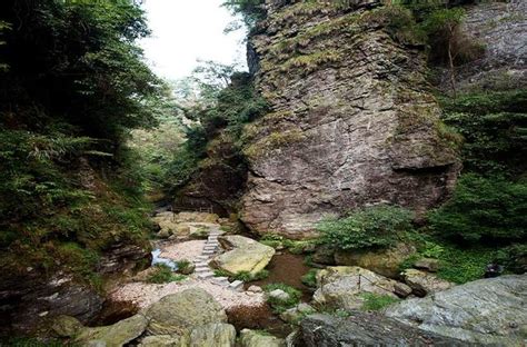 暢遊益陽 茶馬古道黑茶文化體驗之旅 每日頭條