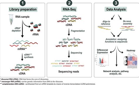 Metatranscriptomics France Génomique