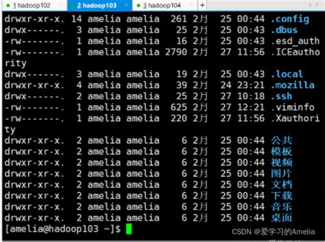 Hadoop Ssh免密登录hadoop免密登录爱学习的amelia的博客 Csdn博客