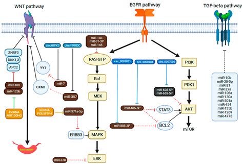Use Of Personalized Biomarkers In Metastatic Colorectal Cancer And The Impact Of Ai