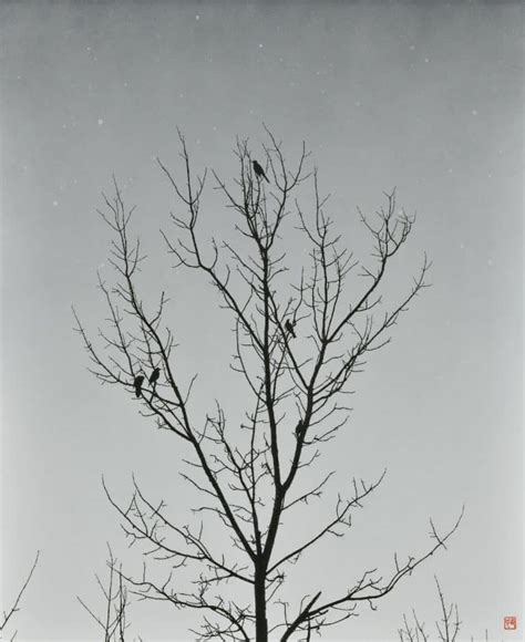À la galerie Taménaga les paysages silencieux de Naoya Egawa