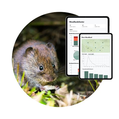 Small Mammal Bioacoustic Monitoring Carbon Rewild