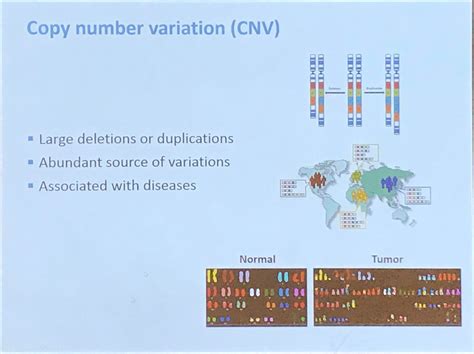 Dna Copy Number Profiling From Bulk Tissue To Single Cells Weiyas Work Yard