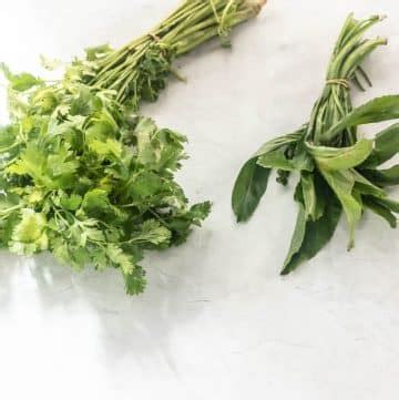 Culantro Vs Cilantro What Is The Difference Global Kitchen Travels