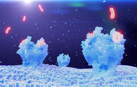 Bioadhesion And Bioadhesive Polymers Labtag Blog