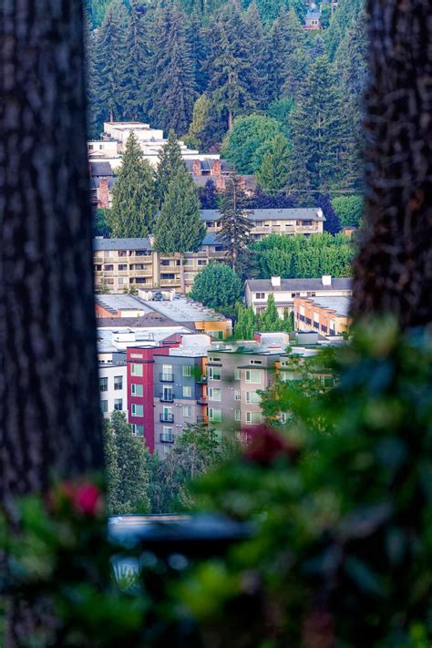 Nightly Walk 70 200mm F4 Macro Rsonyalpha