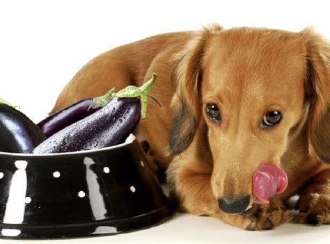 Devhubby — How To Pass Map As Parameter In Golang