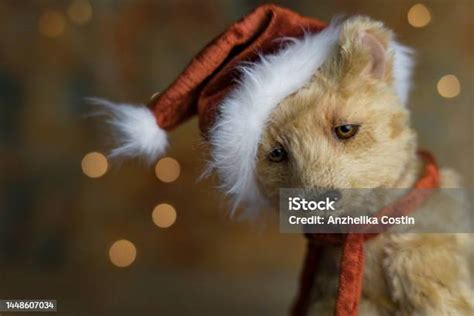 갈색 배경에 빨간 산타 모자를 쓴 귀여운 수제 테디 베어와 크리스마스 카드 인사말 12월에 대한 스톡 사진 및 기타 이미지 12월 거실 곰 Istock