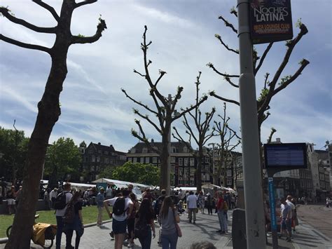 Amsterdam 2017 Renat Galyamov