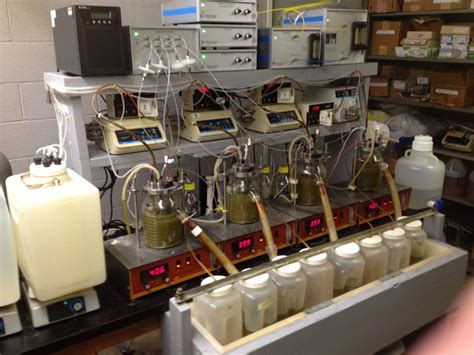 Feed Analysis Sinafarming