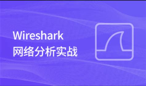 yeslab实验室 wireshark网络分析实战 大虾资源站