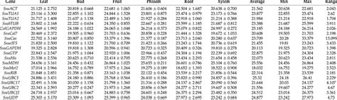 average ct cycle threshold values ± sd standard deviation of