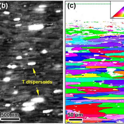 A Sem Ecc Image Showing The Gradient Microstructure Of The Ssfted