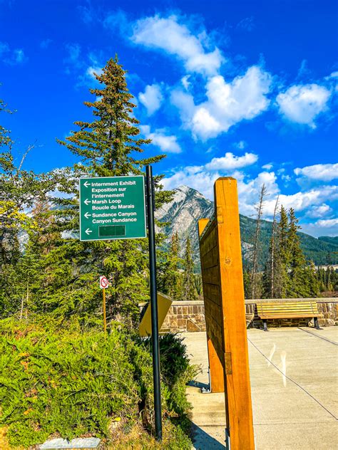 Guide To Hiking The Marsh Loop Banff Trailhead In Banff Canada