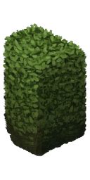 Tall Corner Hedge PZwiki