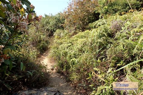 香港山澗足印 GoHikingHK 煎魚灣營地 二澳根頭坳