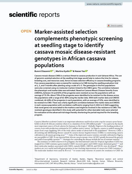 Marker Assisted Selection Complements Phenotypic Screening At Seedling Stage To Identify Cassava