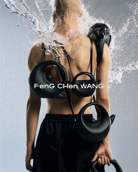 Feng Chen Wang F W 2024 Campaign Feng Chen Wang