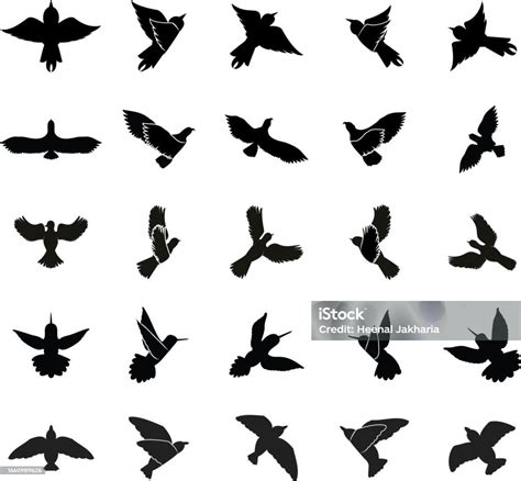 날아다니는 새 아이콘 실루엣 측면 위치 모양 디자인의 다양한 유형의 컬렉션입니다 벡터 그림 집합입니다 스톡 일러스트레이션 새 컷 아웃 실루엣 비행 벡터 개체 그룹에 대한