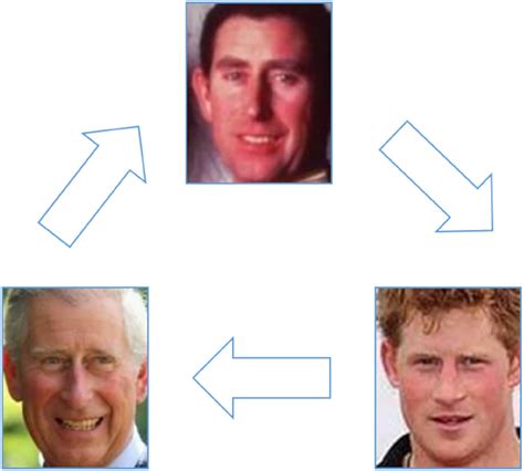 Kinship Verification Using Mediator Image Ruogu Et Al 2013