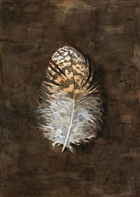 Owl Feather Watercolor Print Dark Background By David Scheirer Owl