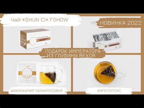 Свежие новости ⋆ компании Fohow