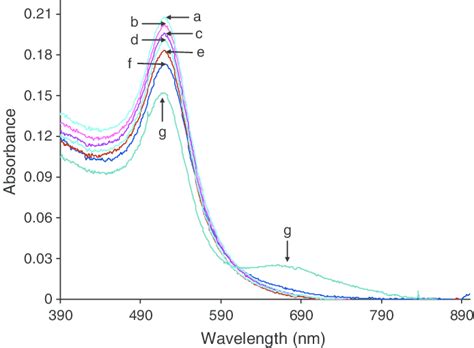 Uv Vis Spectra Of 13 Nm Diameter Gold Nanoparticles In Presence Of A Download Scientific