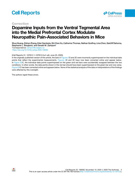 Pdf Dopamine Inputs From The Ventral Tegmental Area Into The Medial Prefrontal Cortex Modulate