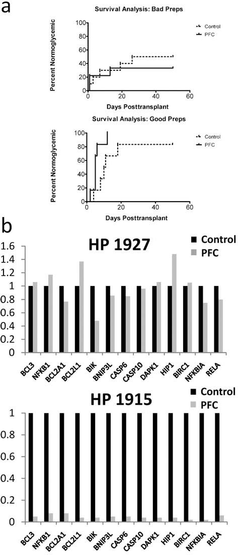 Human Isolated Islets Exhibit Higher Viability And Function When Download Scientific Diagram