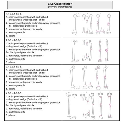 Classification Of Bone Fractures At Crystal Frasher Blog