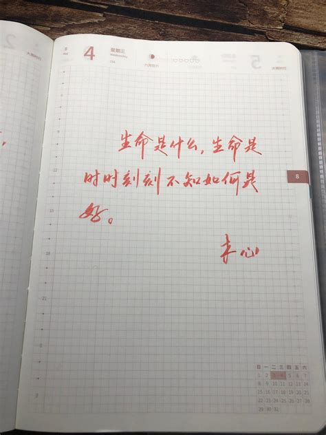 生命是什么 自在手帐