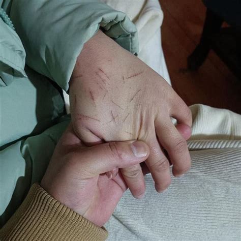 甘肃临夏12岁女孩被强奸案宣判 临夏马某甲等4人强奸案一审宣判 最高被判处有期徒刑15年 周某某 马某乙 被告