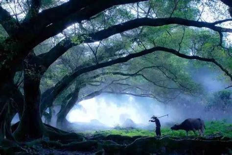 《黃帝內經》5大春季養生智慧，成吉人，養天相！ 每日頭條