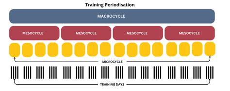 Exercise Specificity Joined Thinking And Performance Daveynutrition