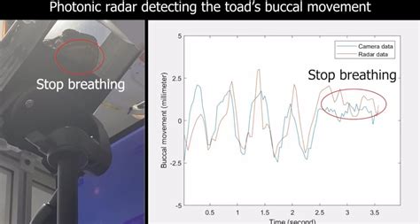 Researchers Develop Non Invasive Photonic Radar System For Precise Vital Sign Monitoring